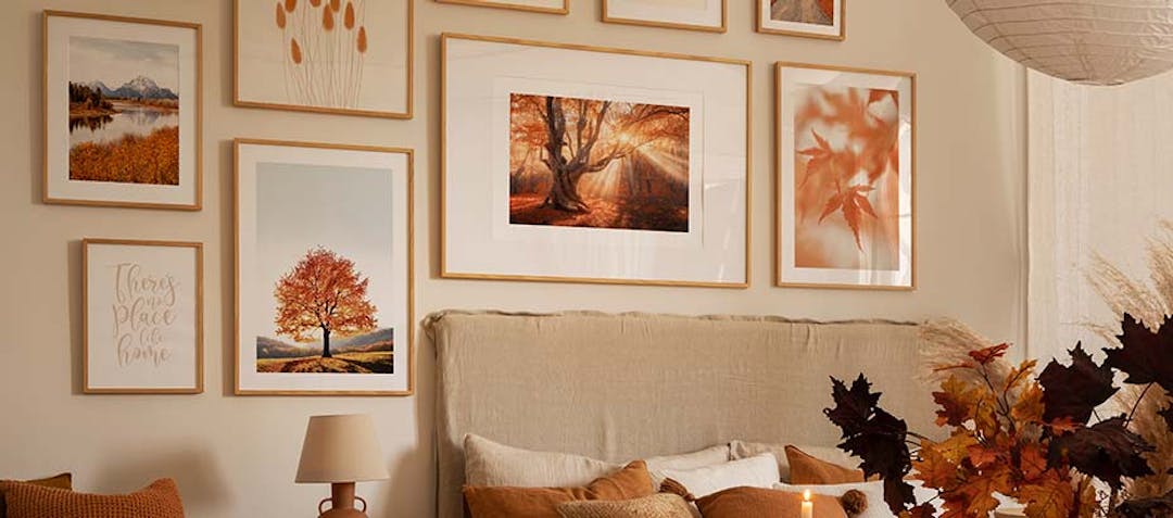 Poster bos | Posters met afbeeldingen van bossen | Posterstore.nl