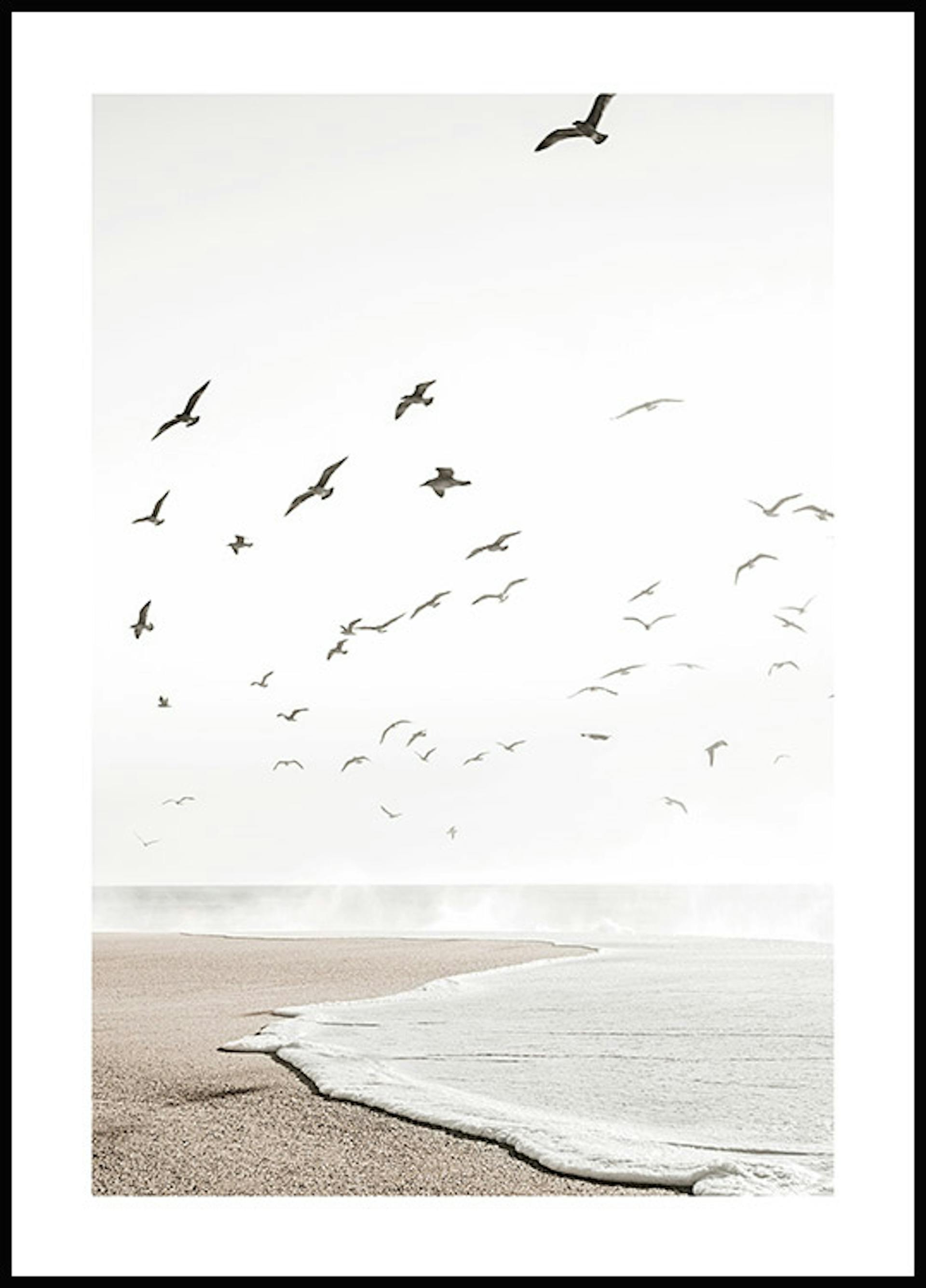 Beach Seashell Poster | Beach Seashell Poster Seashell Prints | Poster ...