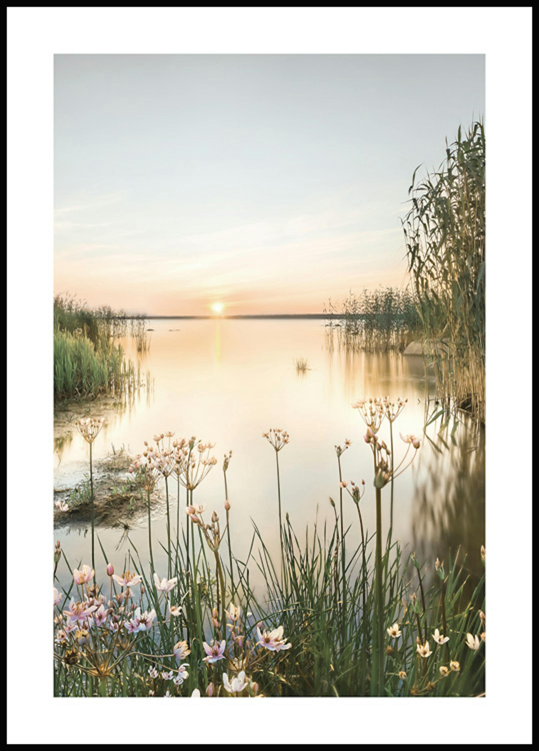 Bestseller Posters - Buy our Top selling Art Prints