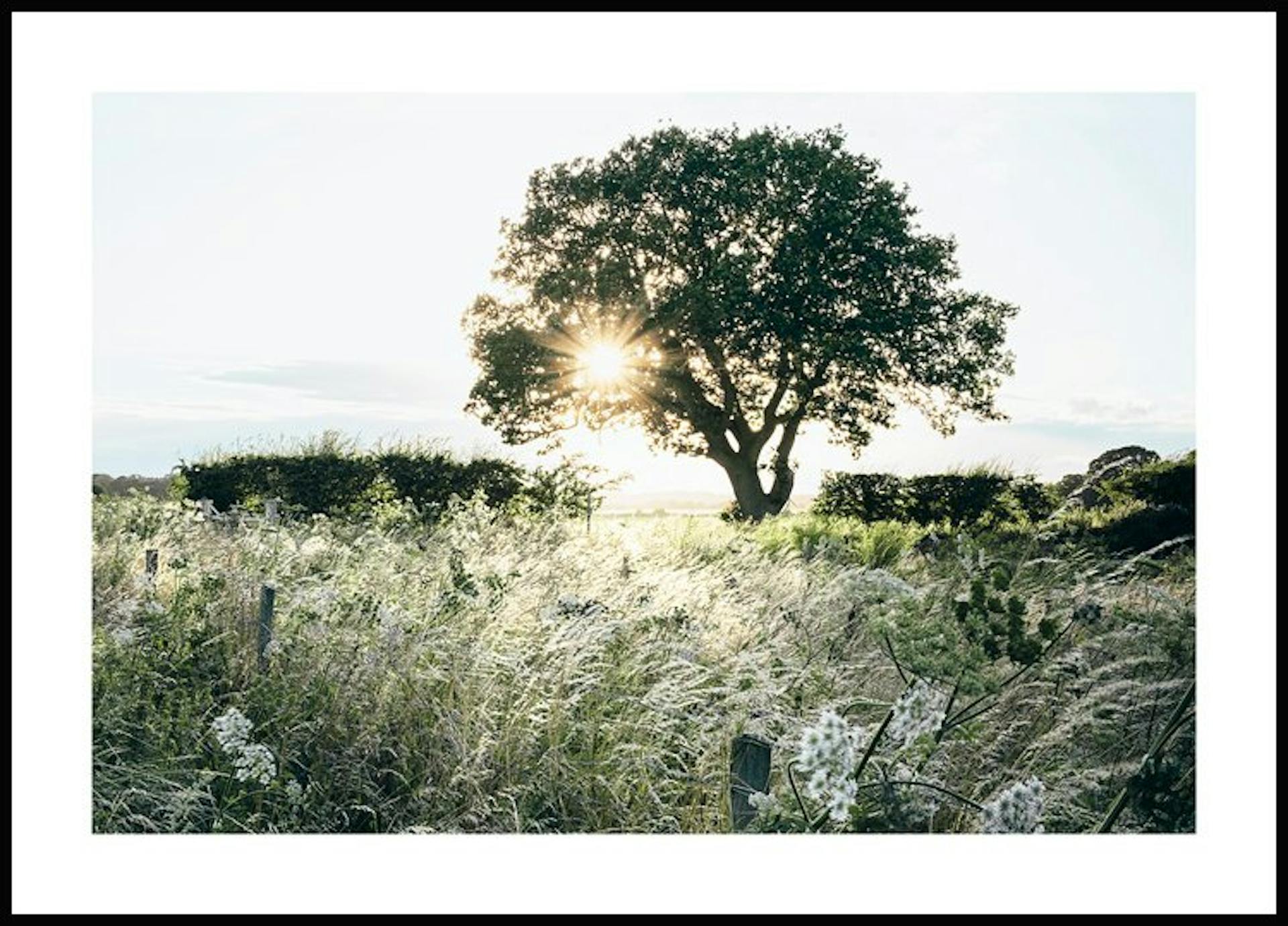 Summer Meadow Poster - Green summer print