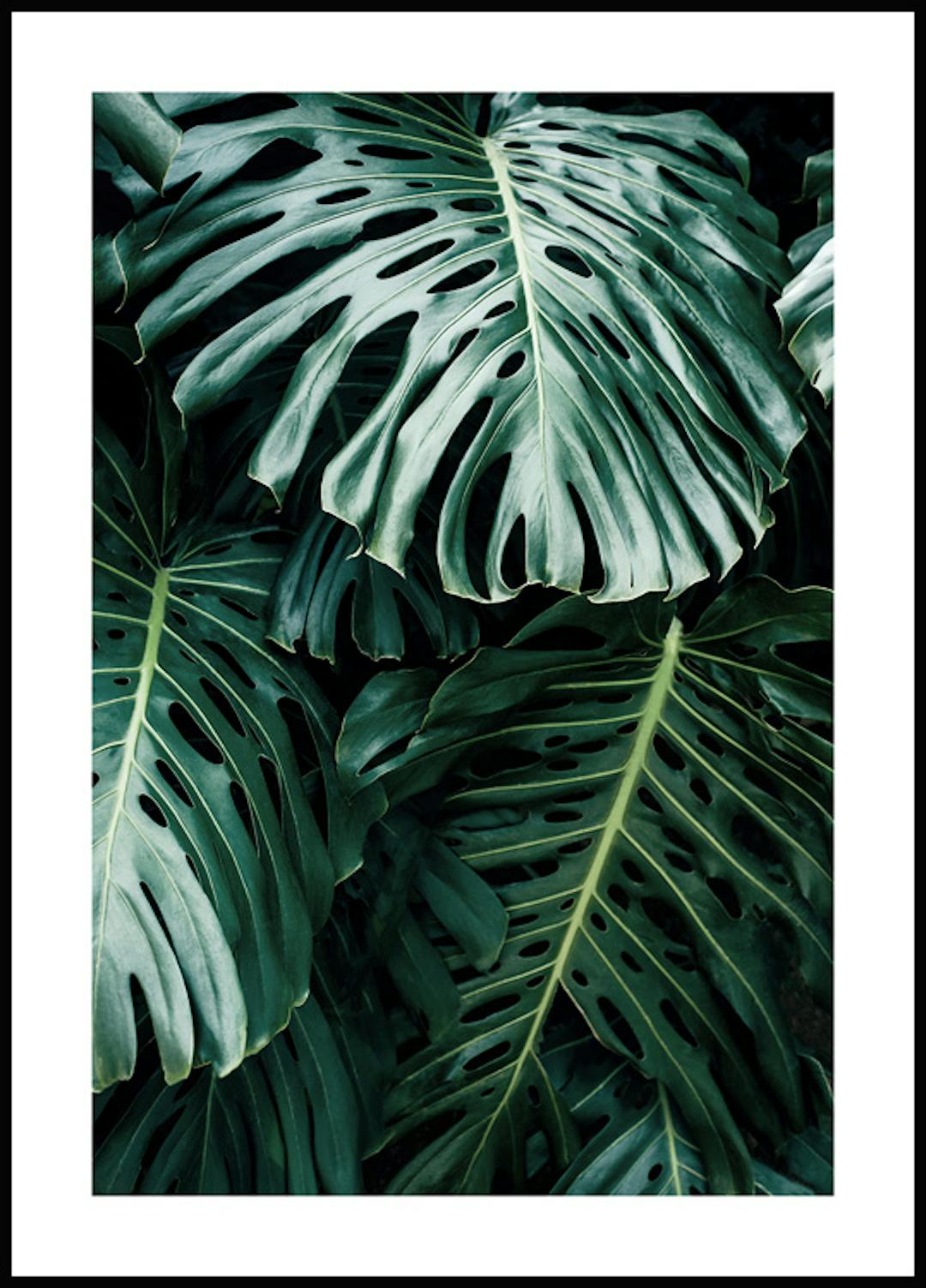 Frida Con Amigos Poster | Frida Kahlo Colorful Floral Portrait | Poster ...