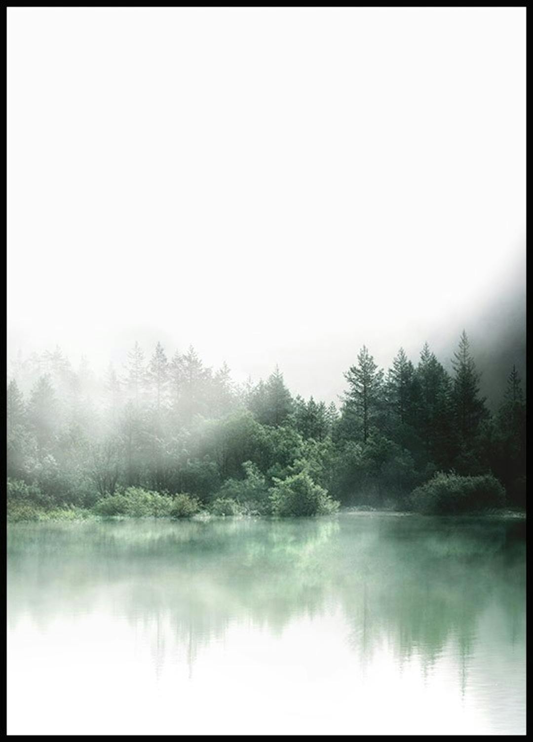 Tree Top Fog Poster | Top Posters for Tranquil Decor | Poster Store Canada