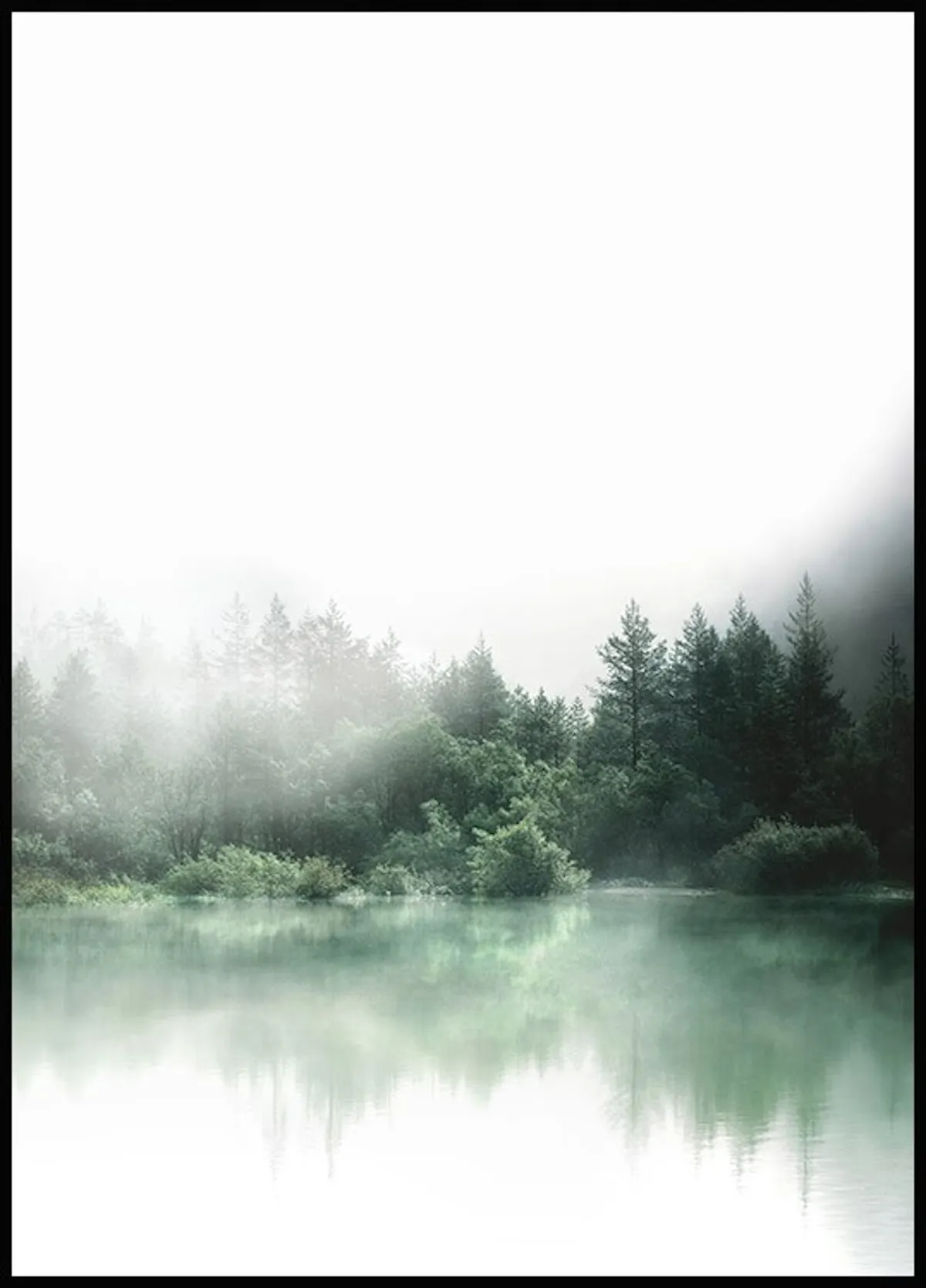 Forest trees Poster | Forest trees tree poster | Poster Store Canada