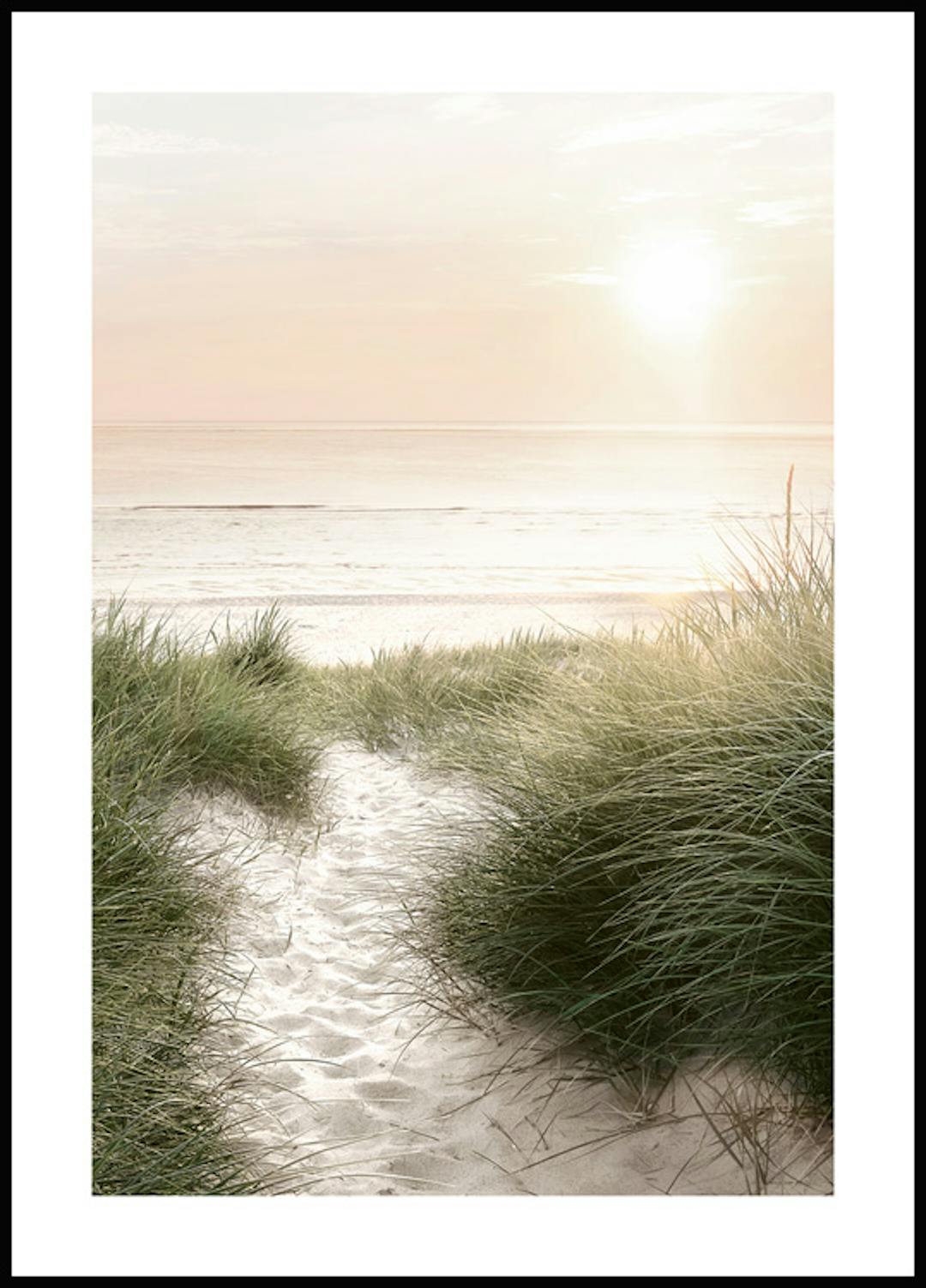 Luonto & Kasvit - Luontoaiheiset Julisteet