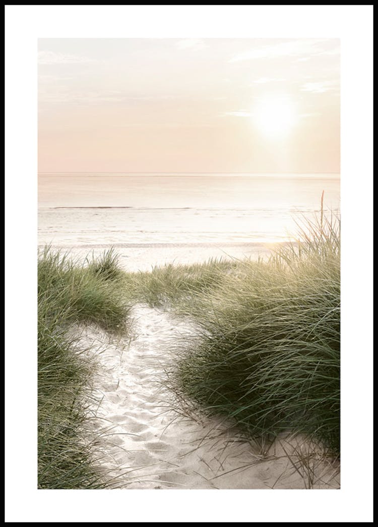 Düne Strand Poster - Schöne Naturbilder