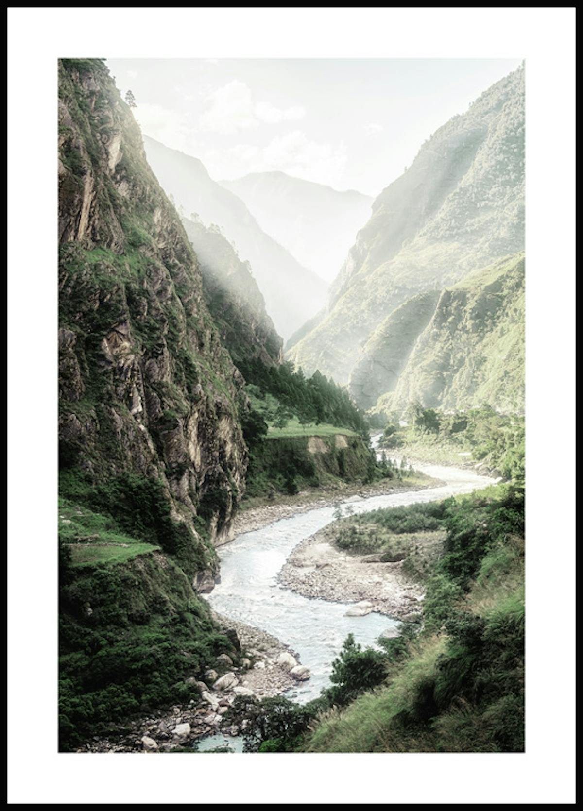 Bewolkt Bos Poster - Bos en natuur posters