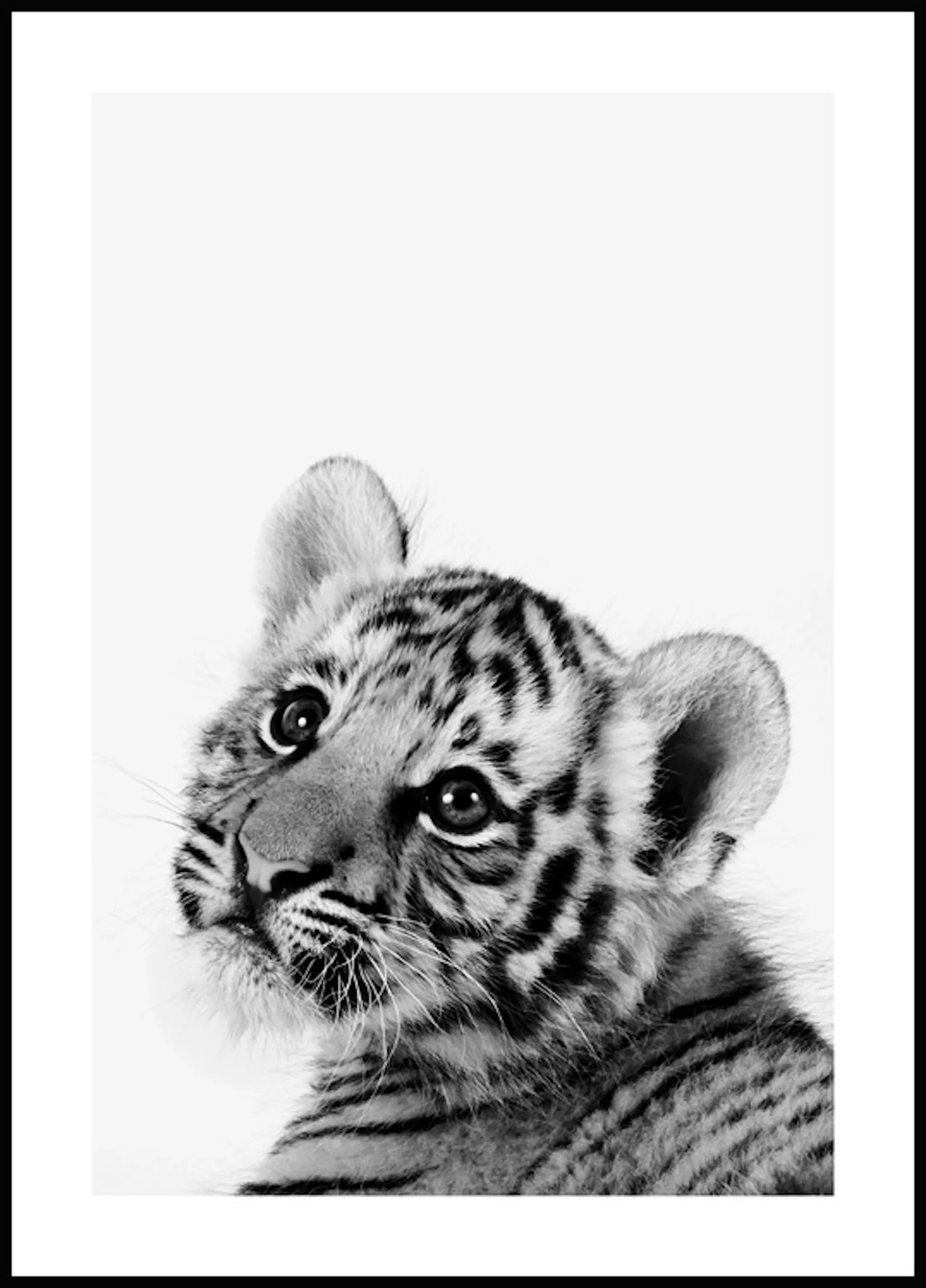 Posters voor kinderen | Leuk voor in de kinderkamer