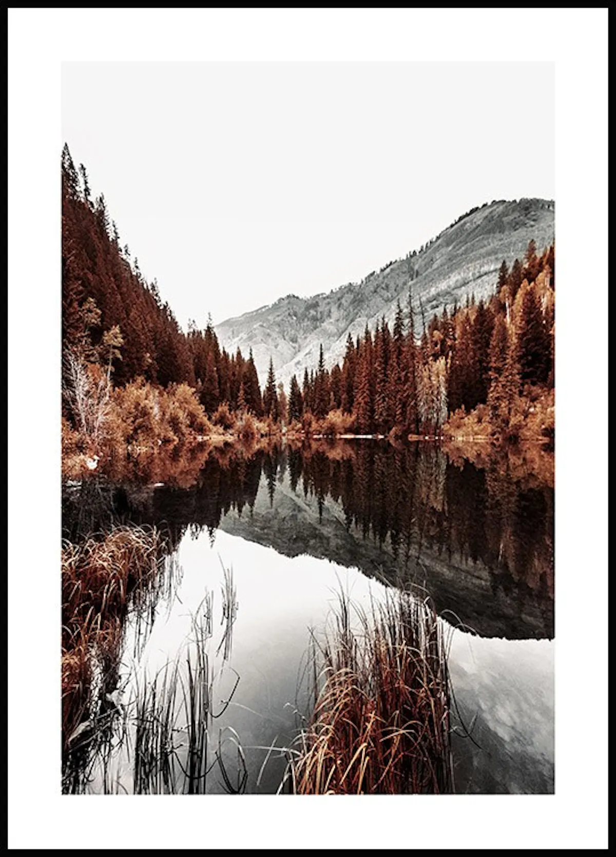 Autumn Forest Poster | Orange Autumn Forest Wall Art | Poster Store USA