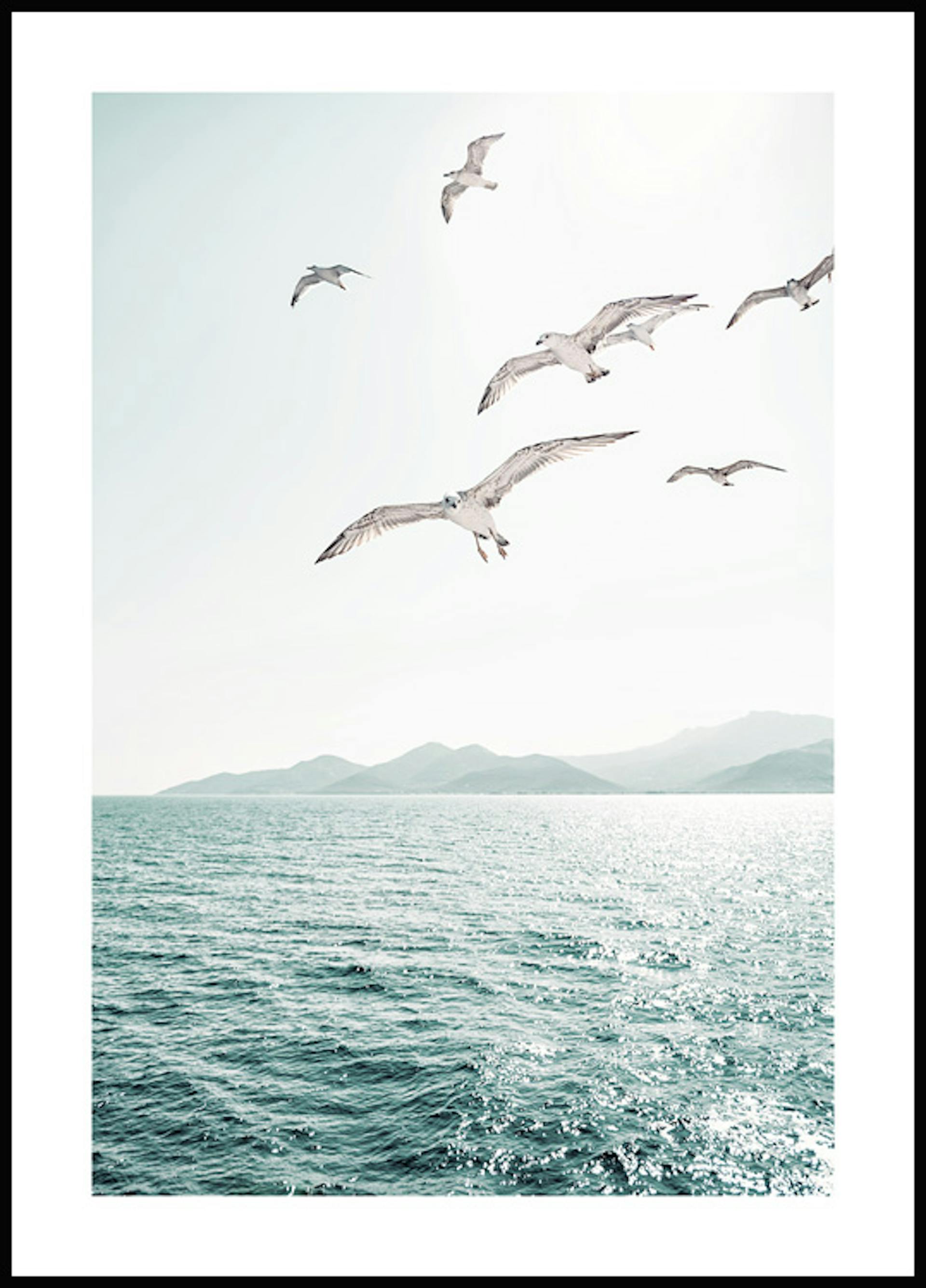 Blauwe Zeester Poster - Natuur Poster