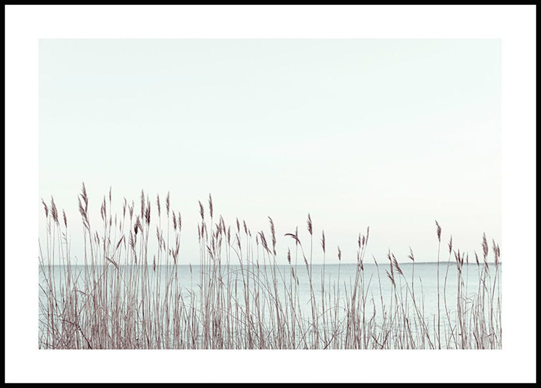 Glimmering Sea Poster - Landscape Beach Print