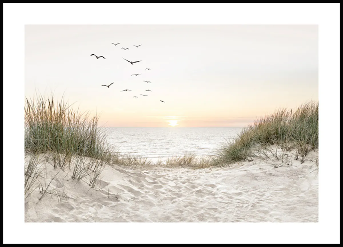 Poster med strand | Postere av strender og kyst | Posterstore.no