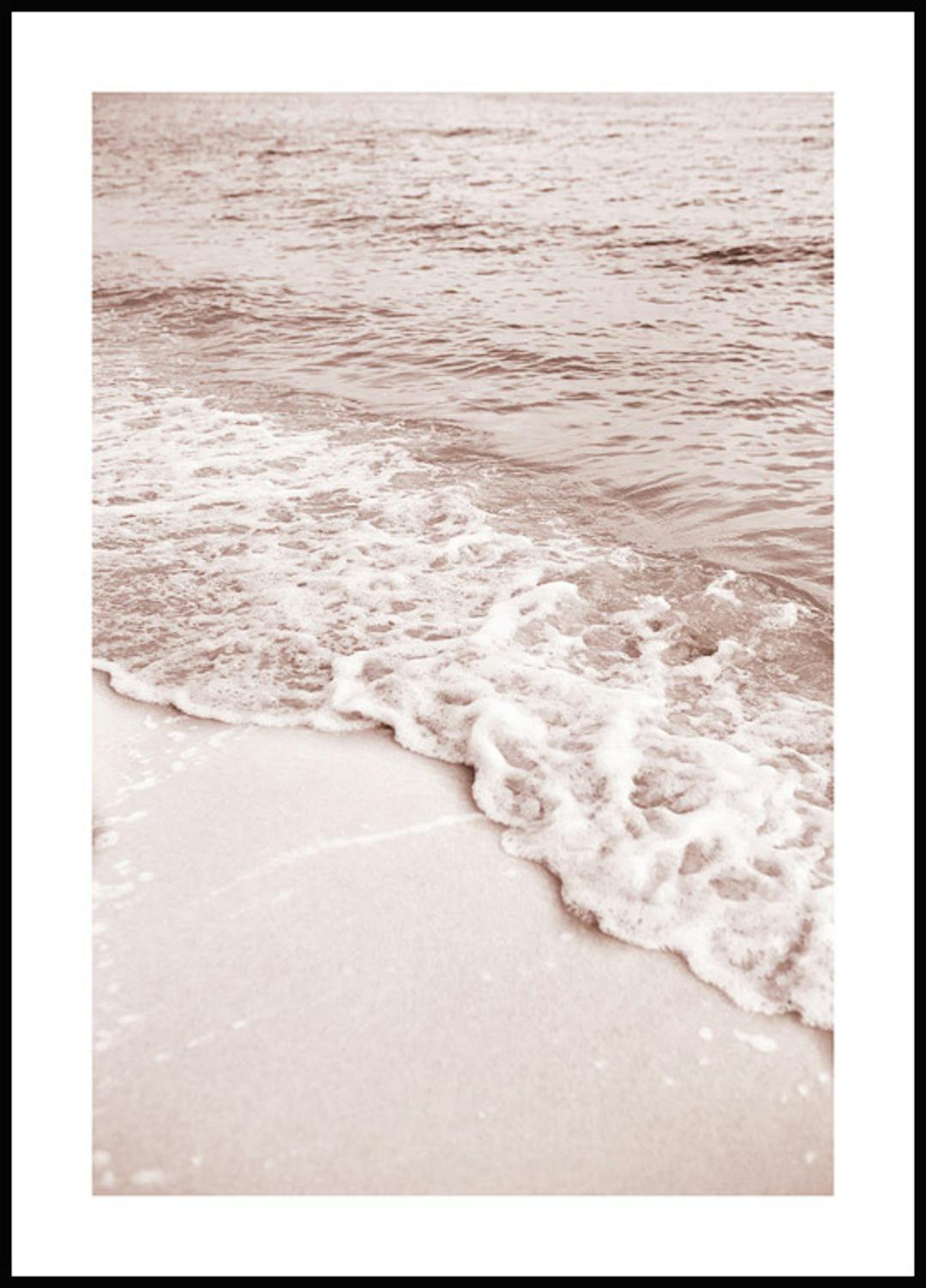 Blooming Rose Poster | Blooming Rose Poster for Elegant Home Decor ...