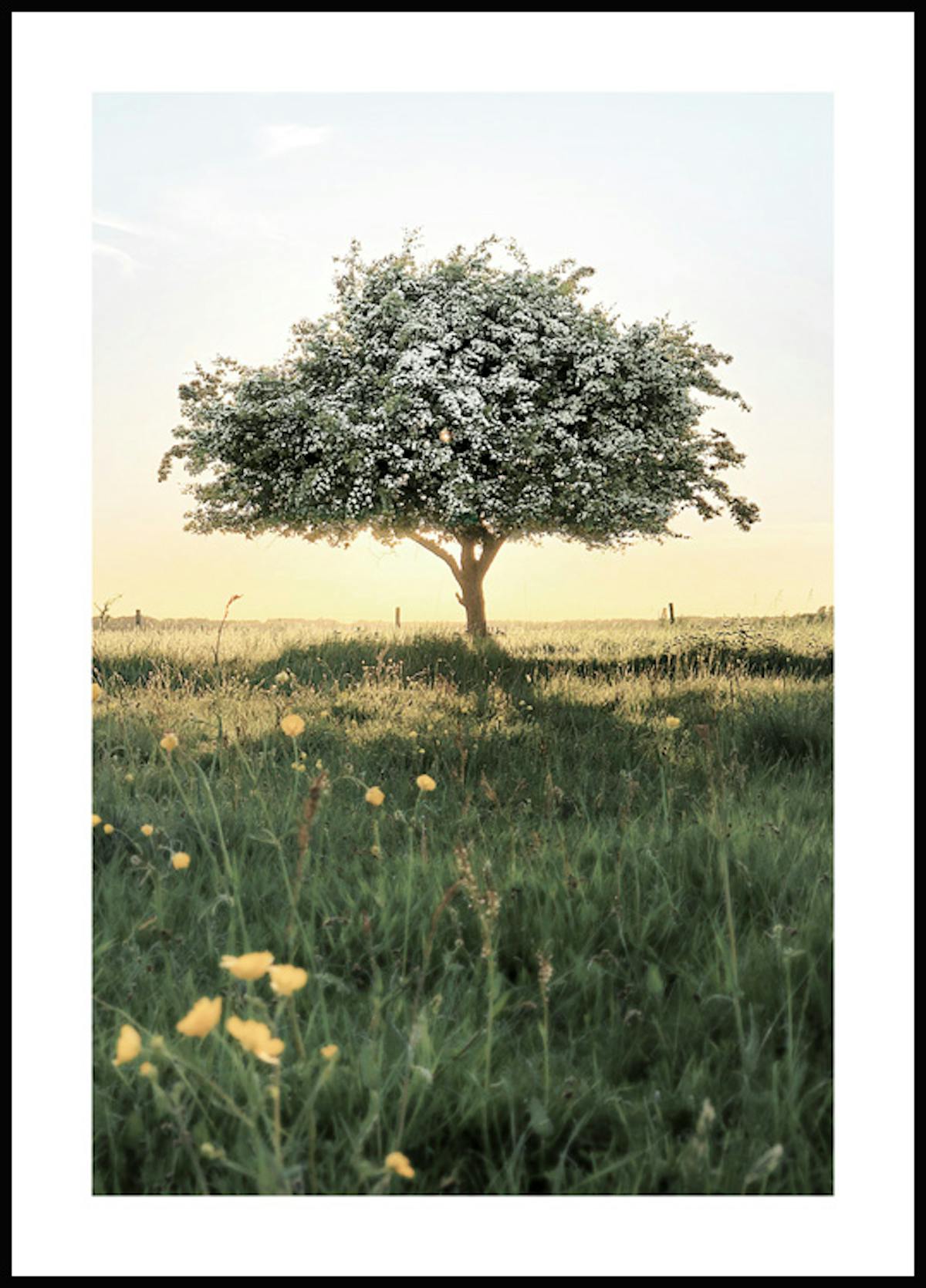 Summer Meadow Poster - Green summer print