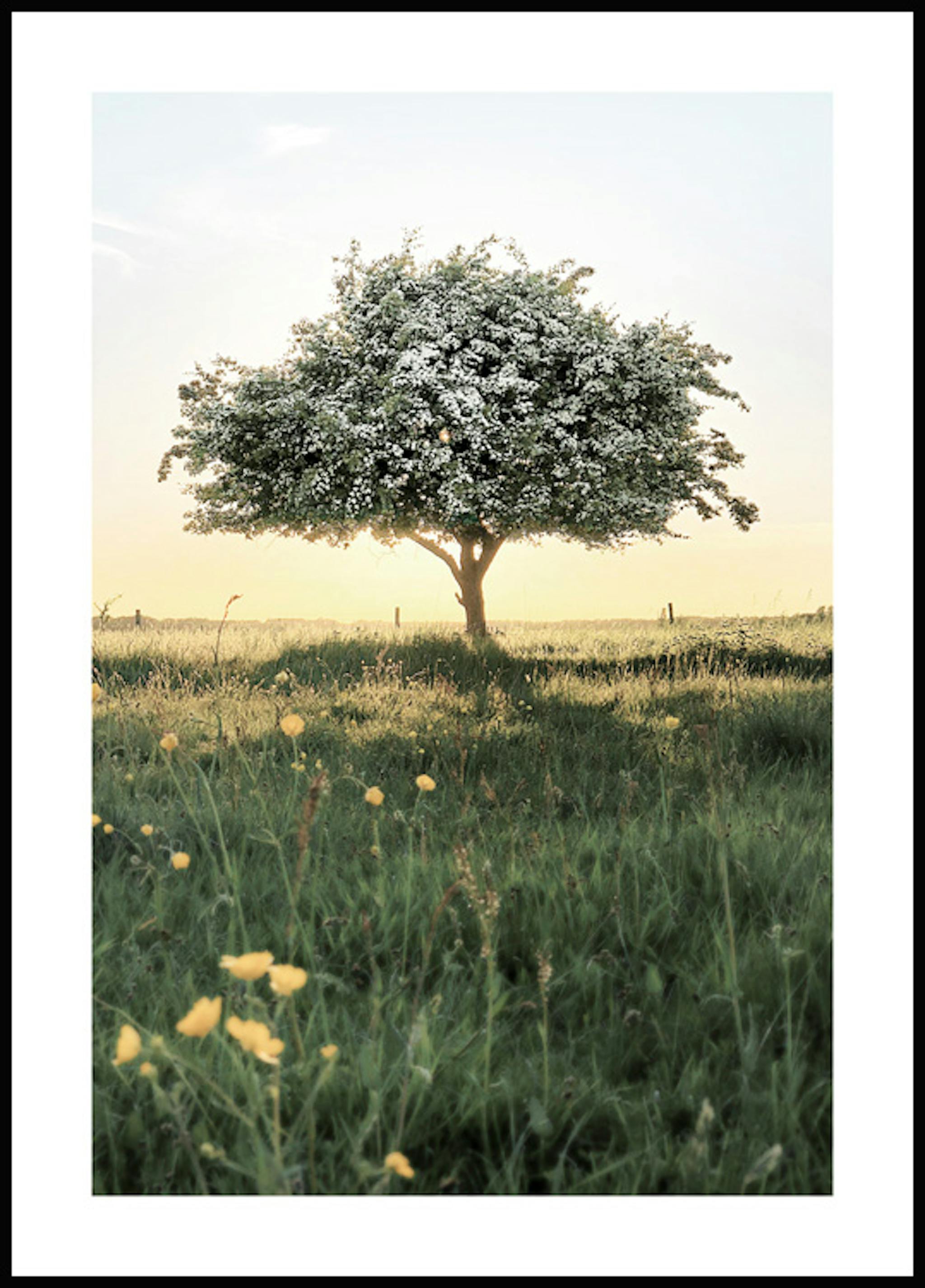 Summer Meadow Poster - Green summer print