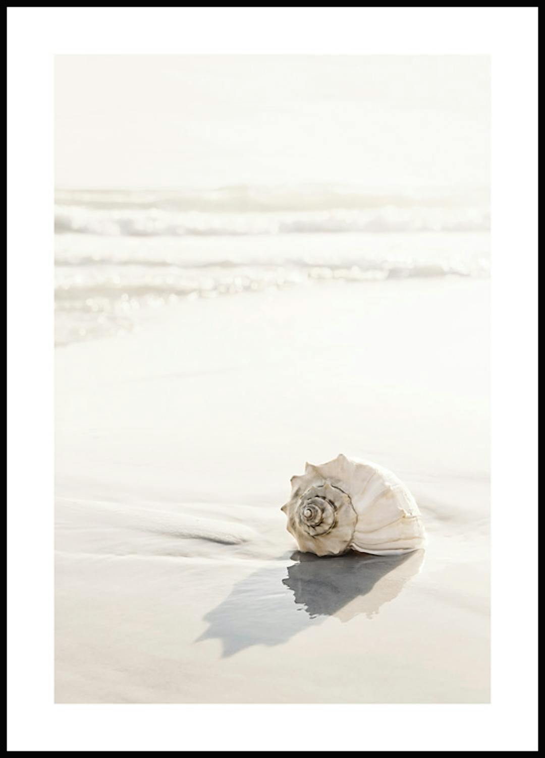 Blue Shells Poster - Shells in blue print