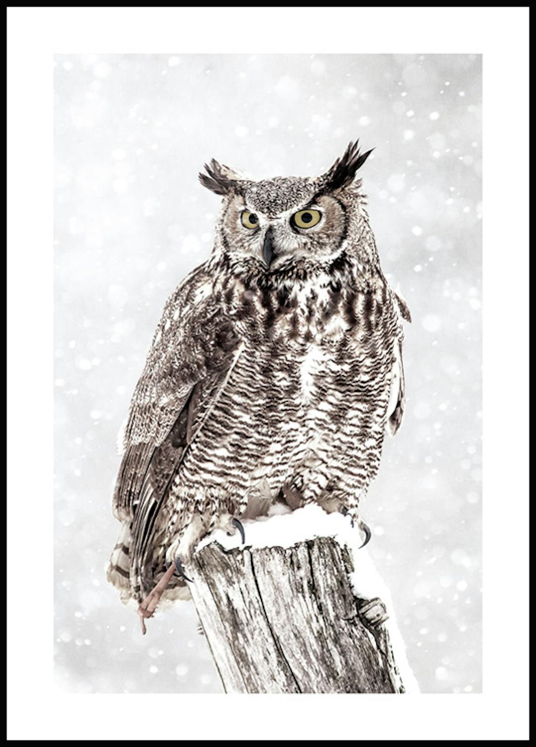 Posters enfants - Posters déco pour chambre d'enfant