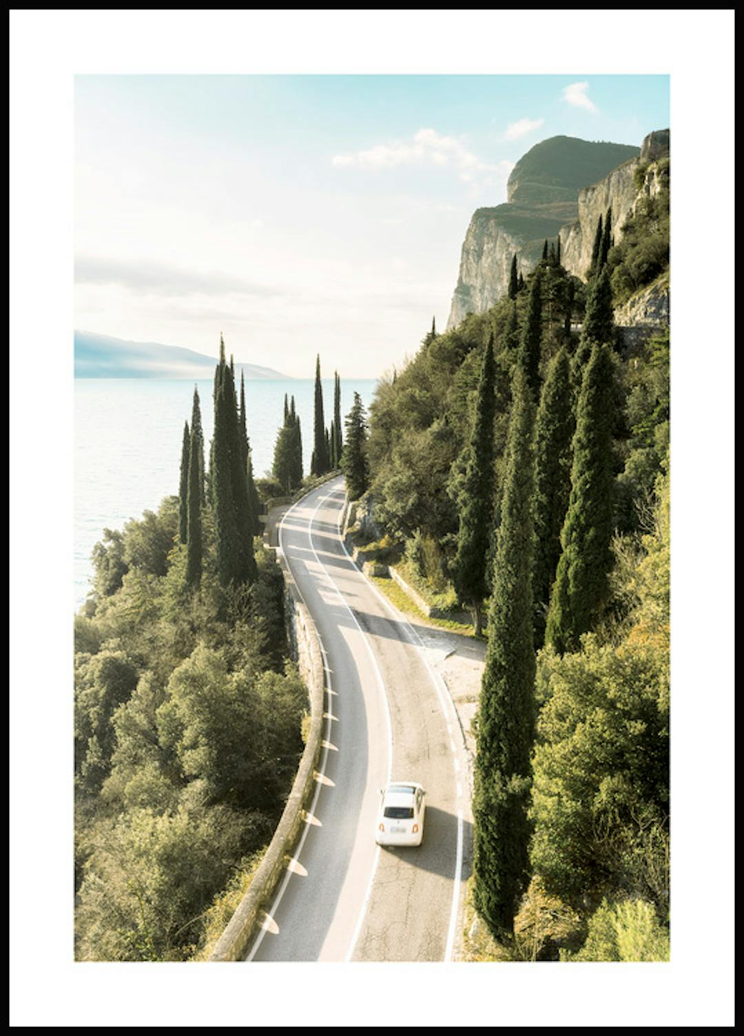 Luonto & Kasvit - Luontoaiheiset Julisteet