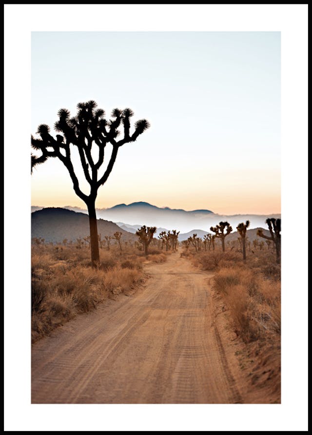 Posters woestijn | Designs met woestijn | Posterstore.be