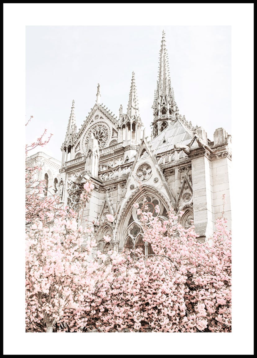 Pink Bloom Affiche Poster | Fleur Rose Délicate Art Mural | Poster ...