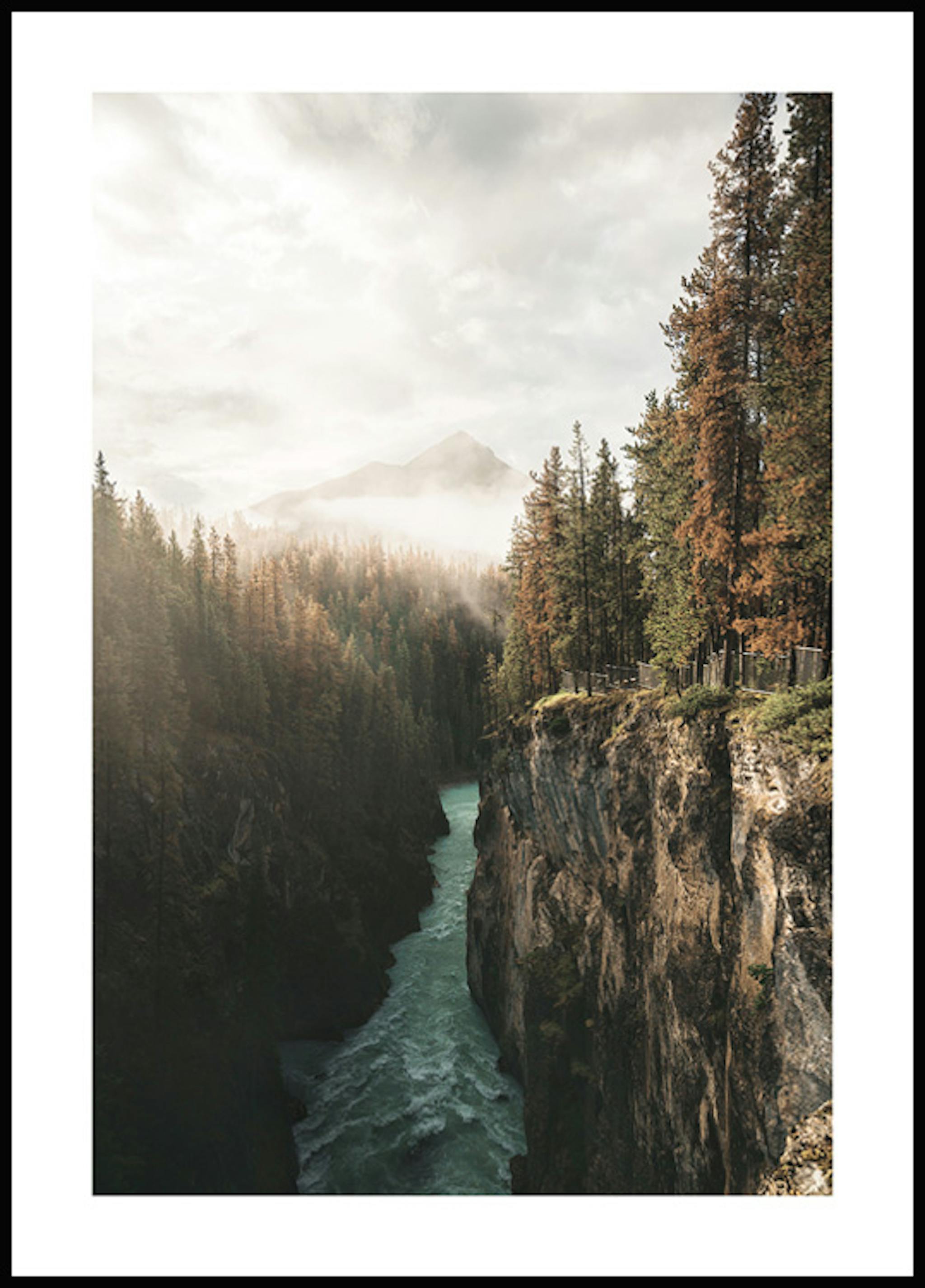 Bewolkt Bos Poster - Bos en natuur posters