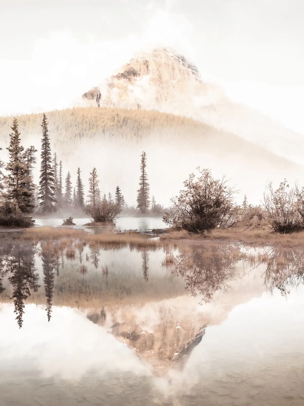 Calm beige gallery wall abstract prints nature posters beige living ...