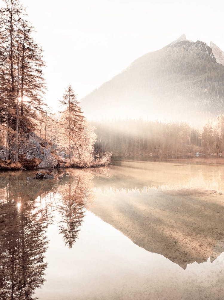 Modern and trendy gallery wall with nature prints combined with ...