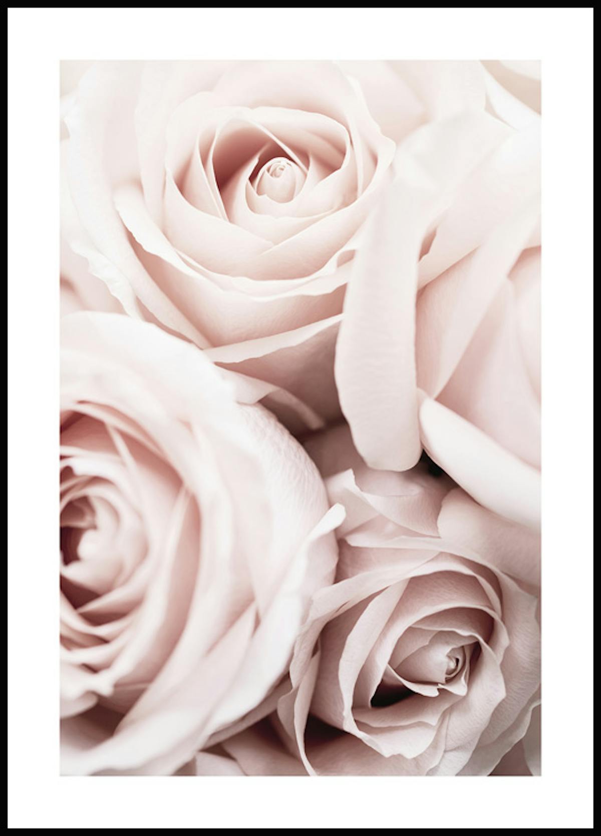Love Posters - Buy romantic love prints online