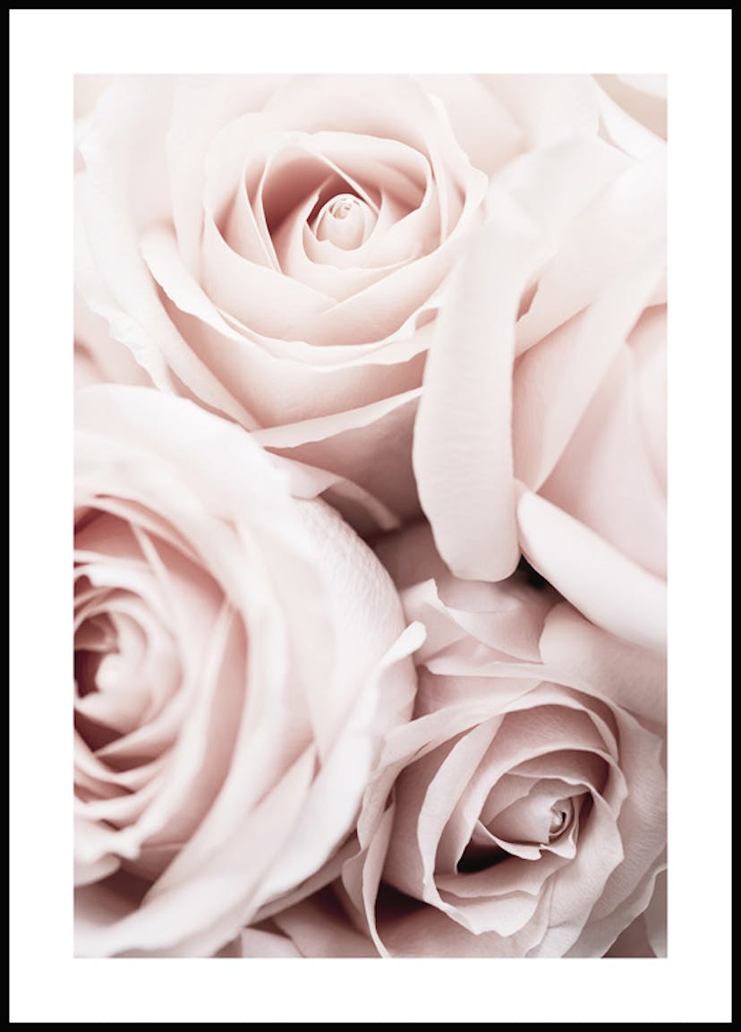 Love Posters - Buy romantic love prints online