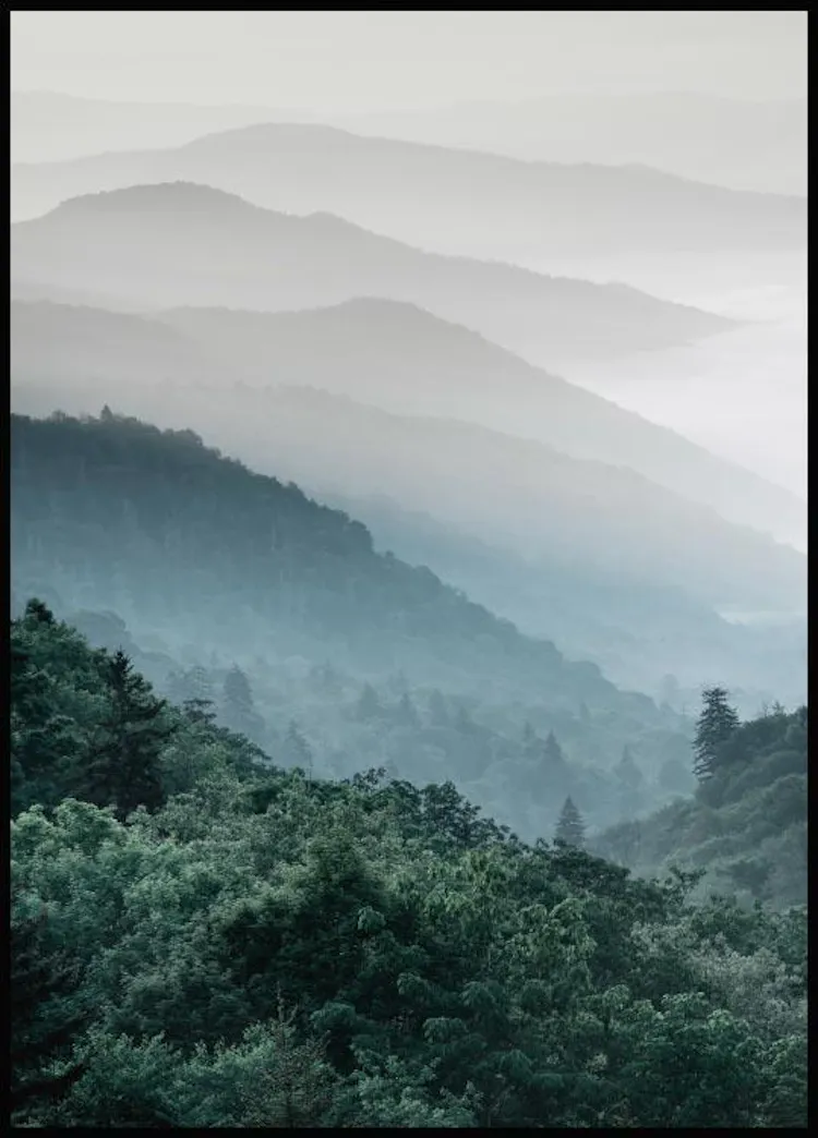 Mountain Road. Poster | Art mural de route de montagne sereine | Poster ...