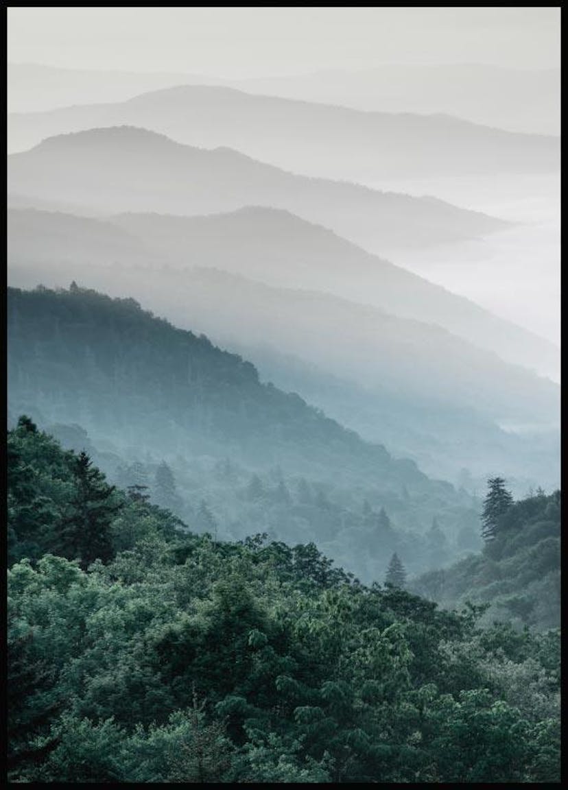 Grass Poster | Nature Poster Reeds Brown | Enhance Your Space with ...