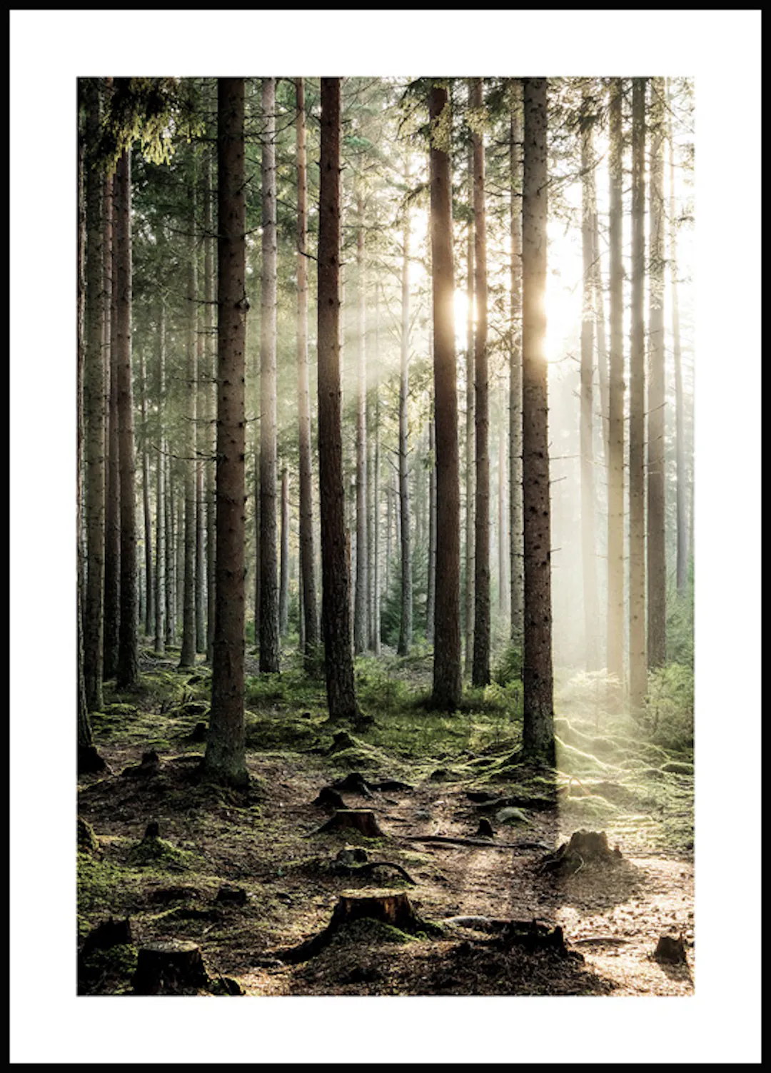 Landscape Poster - Buy Landscape Prints online