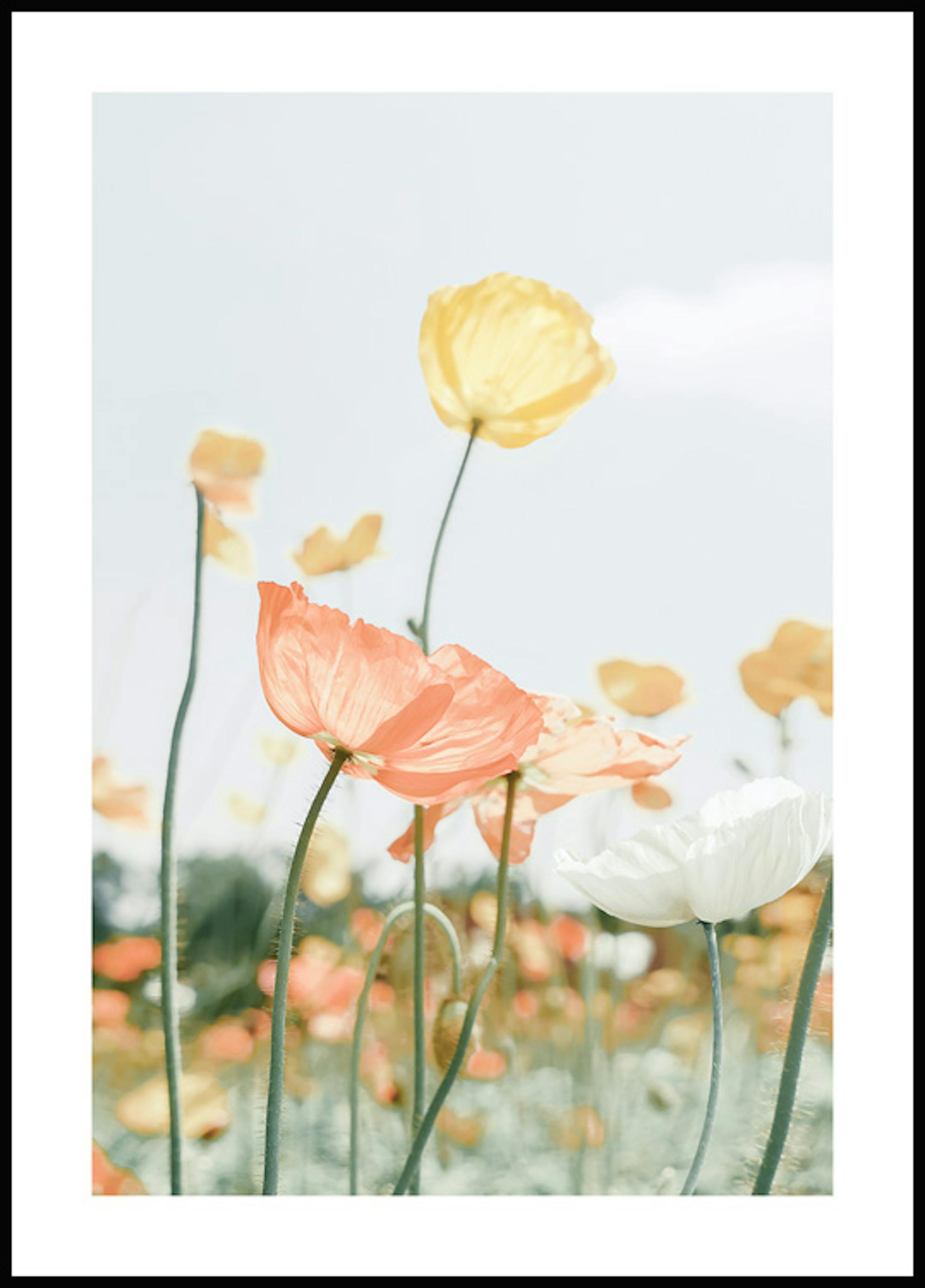 Female Line Art Poster - Abstract print