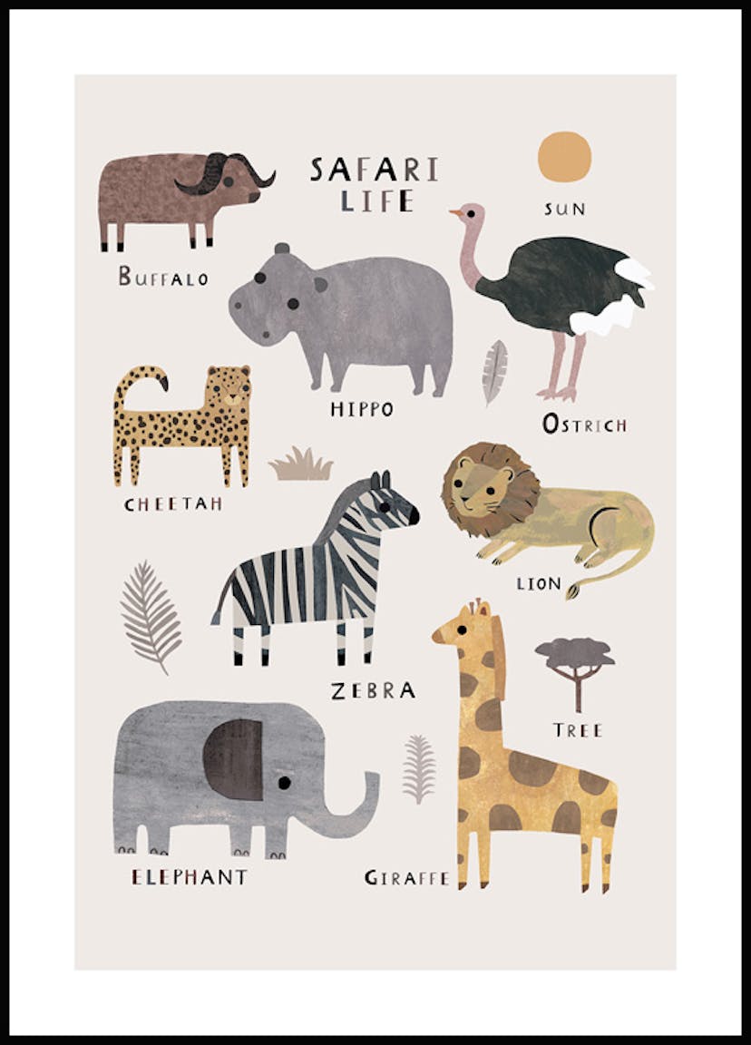 Animal Posters - Buy Insect and Animal Prints