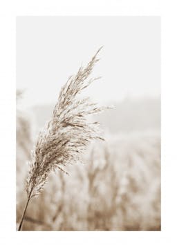 Gallerywall Poster | Elegant Beige & White Living Room Art | Poster ...