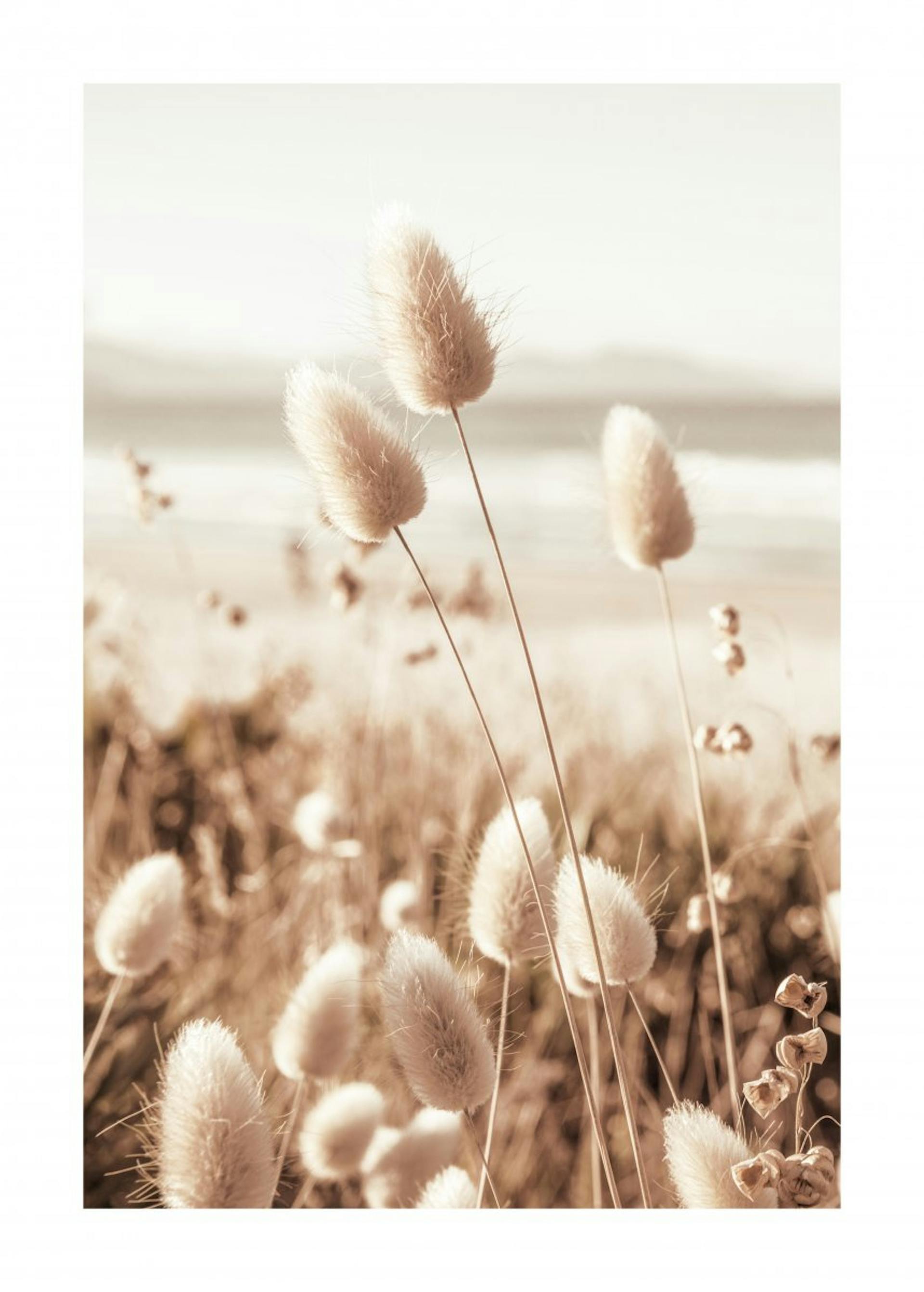 Beige prints and photographs with inspiration from the autumn combined ...