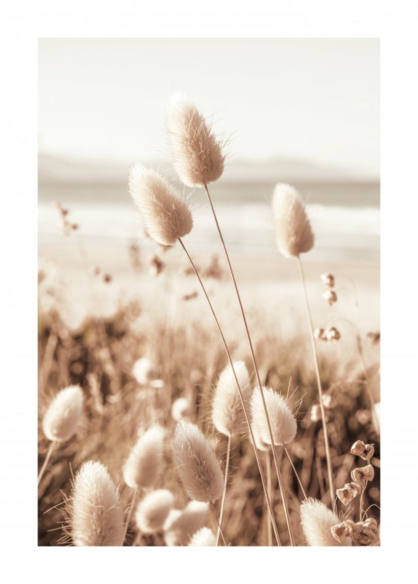 Acercate a la naturaleza con nuestra galleria de pared en tonos beige ...