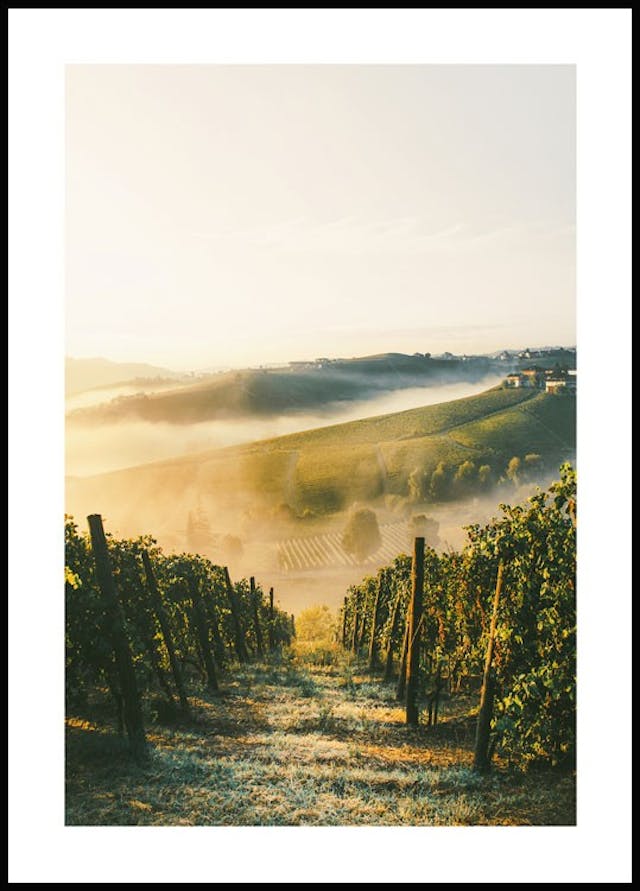 Poster per Cucina - Compra Quadri e Stampe da cucina