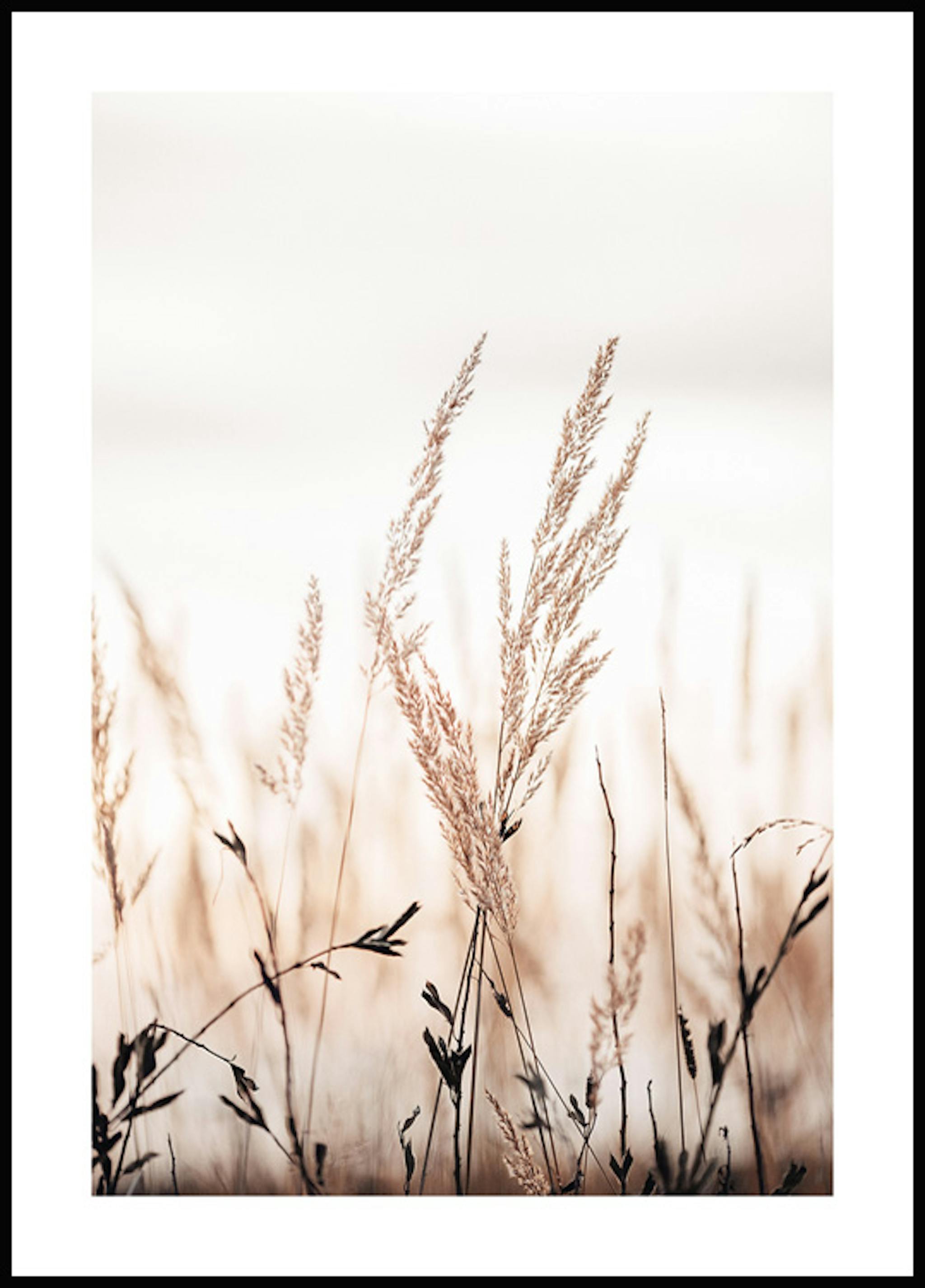 Grass Poster | Nature Poster Reeds Brown | Enhance Your Space with ...