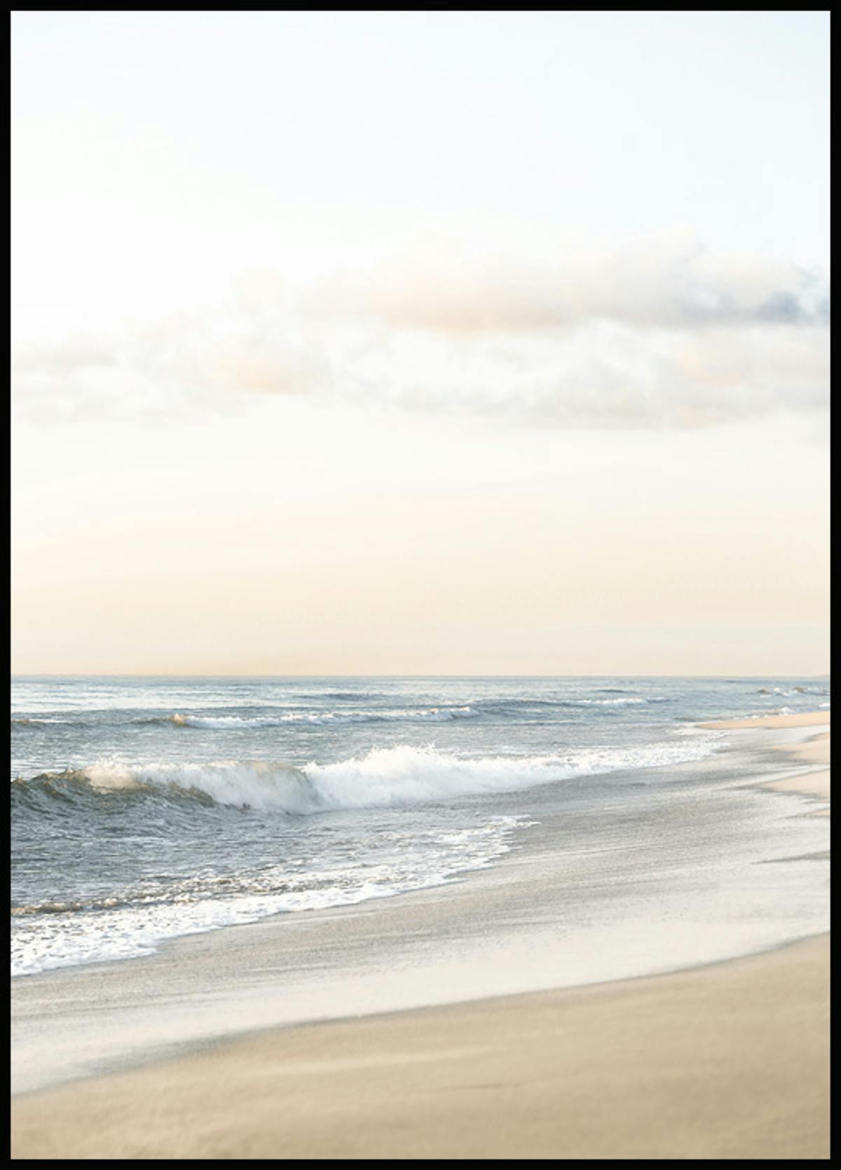 Blue Shells Poster | Blue Poster for Coastal Decor | Poster Store Canada