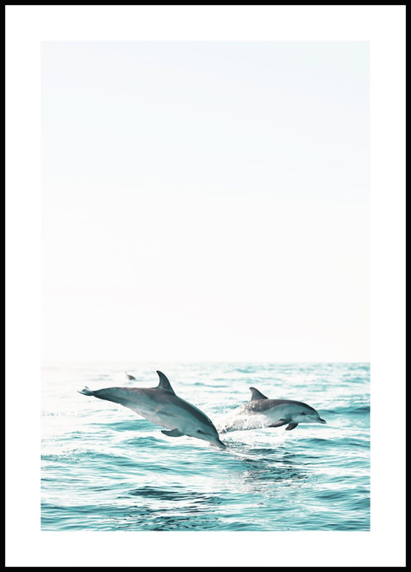 Ocean Dolphins Poster | Dolphins Poster Underwater Design | Explore the ...