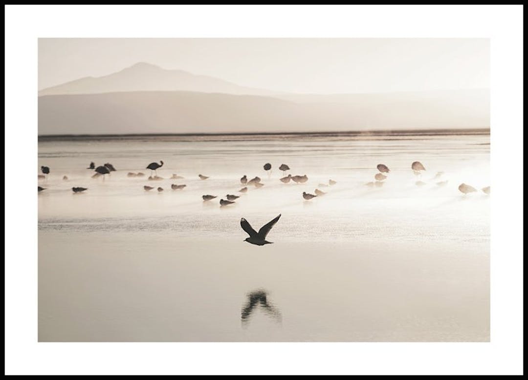 Shop discounted posters online at Posterstore.com