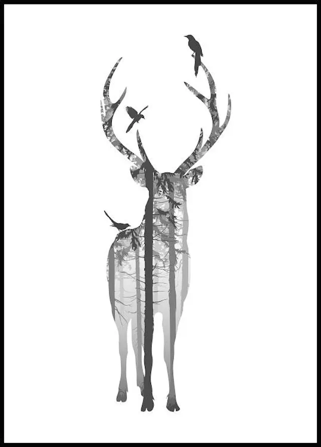 Tierposter - Poster mit wilden Tieren