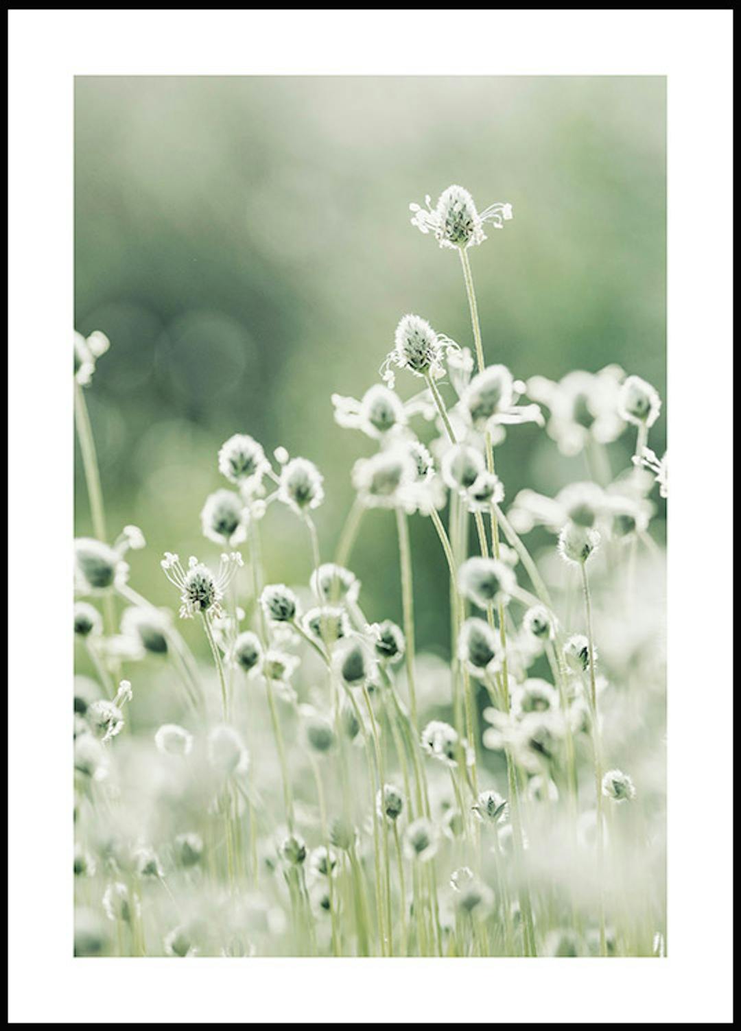 Summer Meadow Poster | meadow poster green grass | Poster Store UK