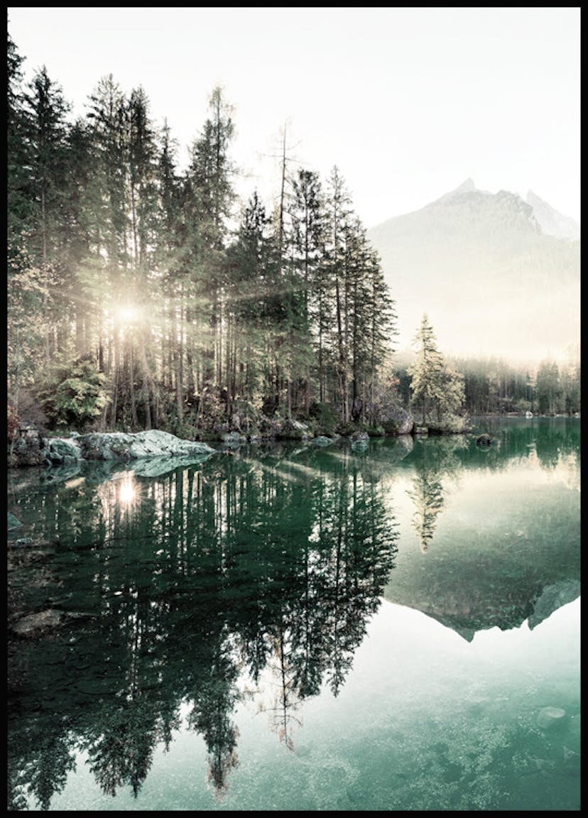 Kauf Naturposter online - Poster mit Naturmotiven - Posterstore.ch