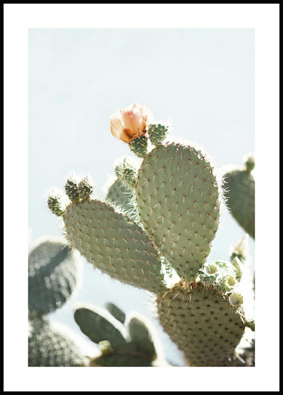 Shop discounted posters online at Posterstore.com