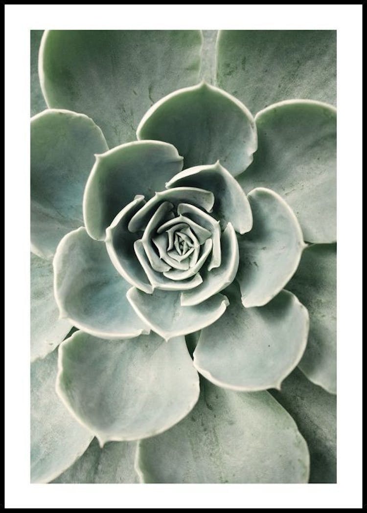 Mindfulness Poster - Buy Mindfulness Prints online