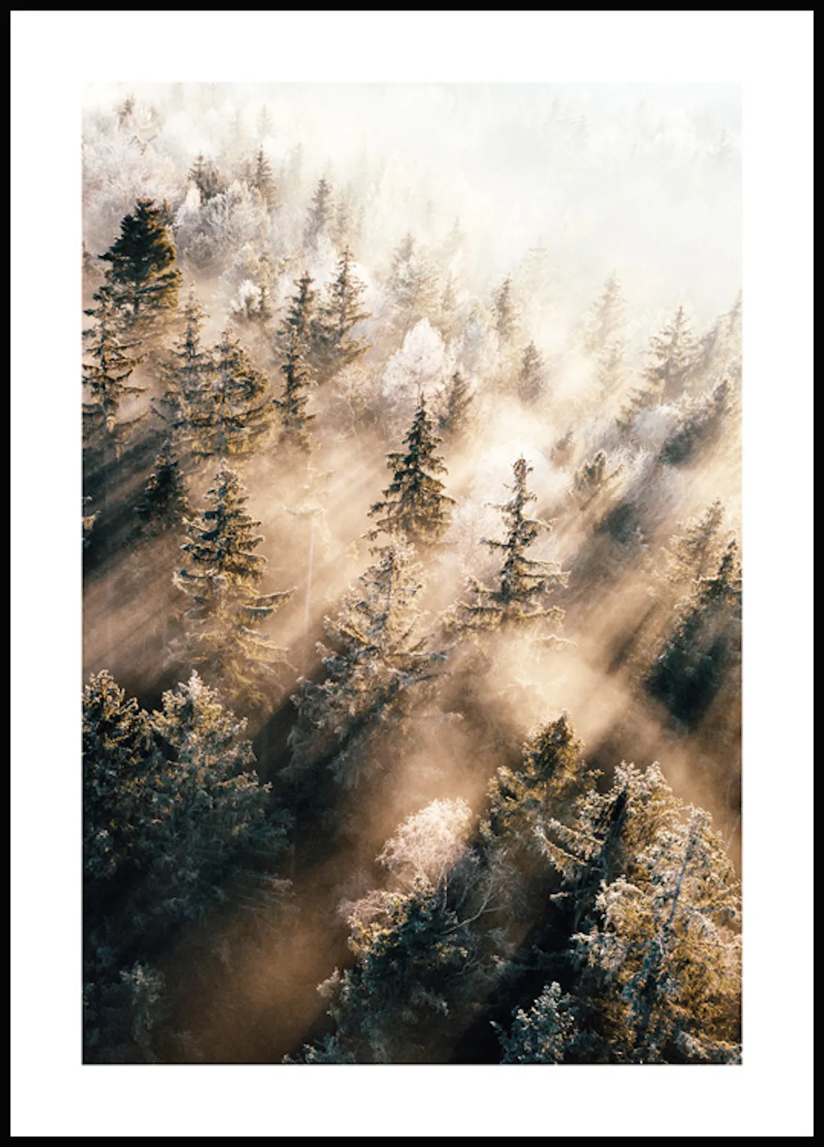 Koop Herfstposters online - posterstore.nl