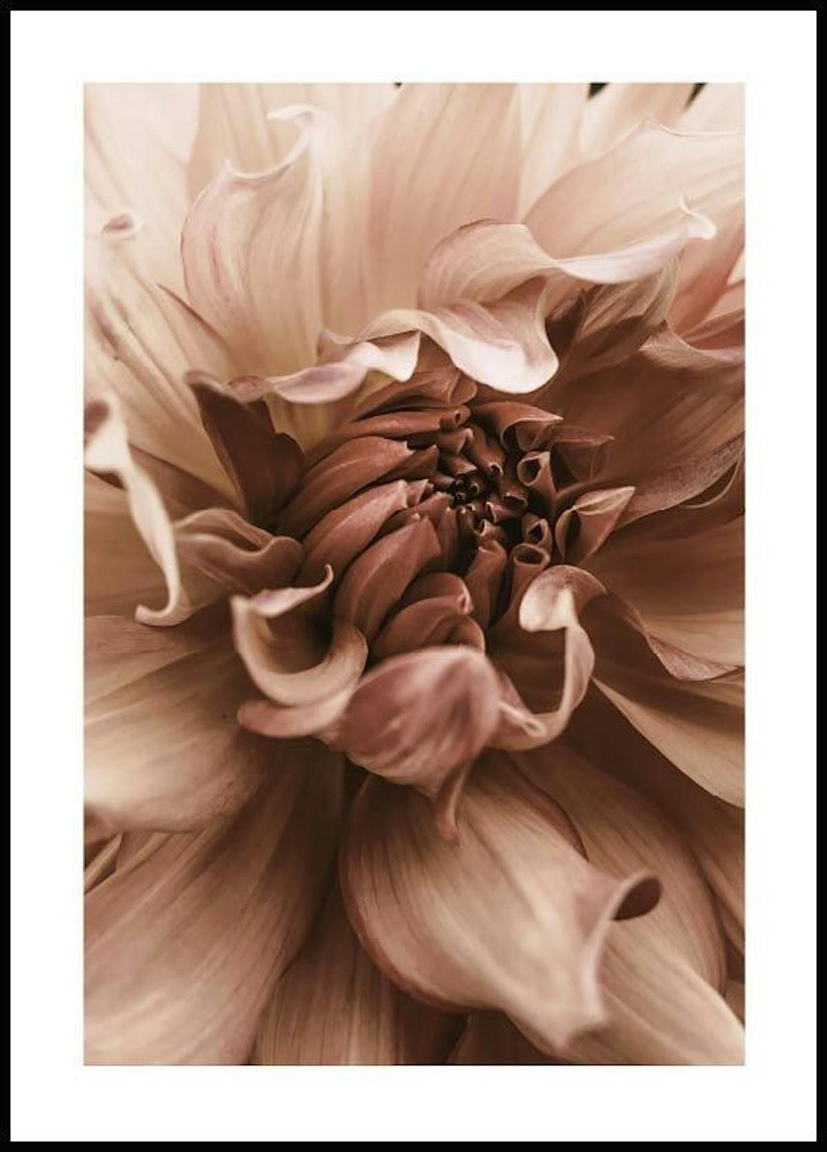 Pink Bloom Affiche Poster | Fleur Rose Délicate Art Mural | Poster ...