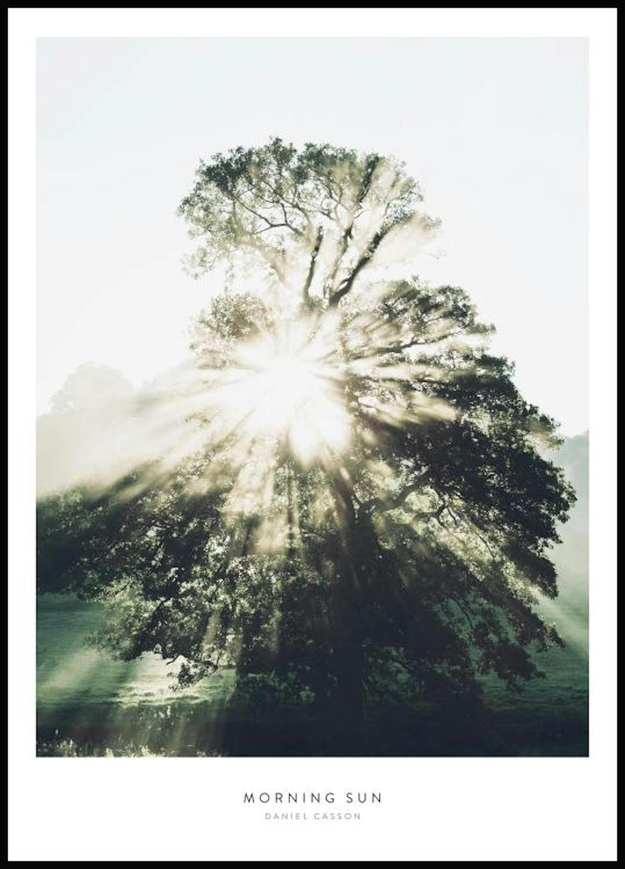 Vårposter - Köp vårposters - posterstore.se