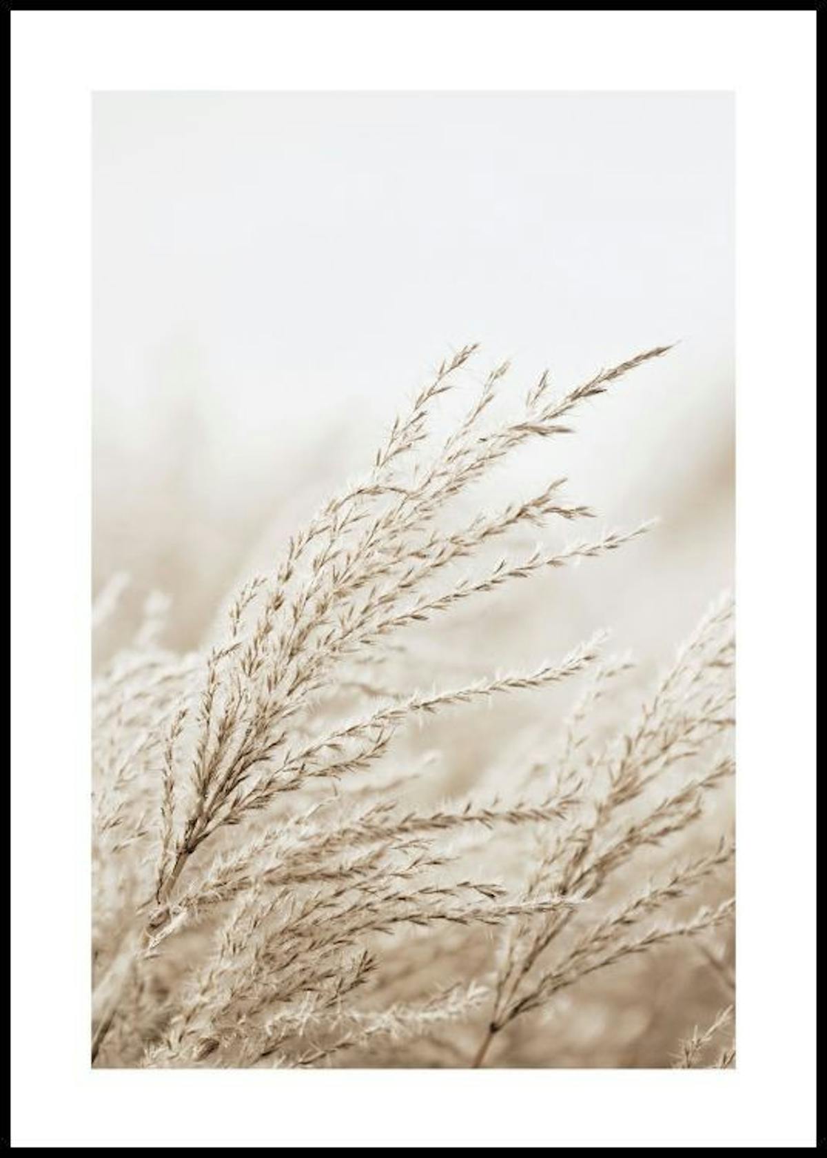 Nature Posters Online - Shop Botanical Prints